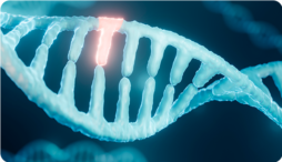 home-kr – Genolution