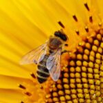 Service Overview – Genolution